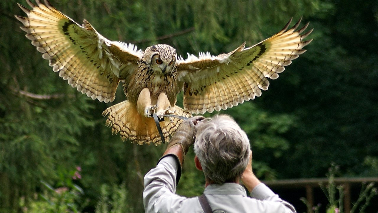 Château de Harzé - Info Tourism Benelux